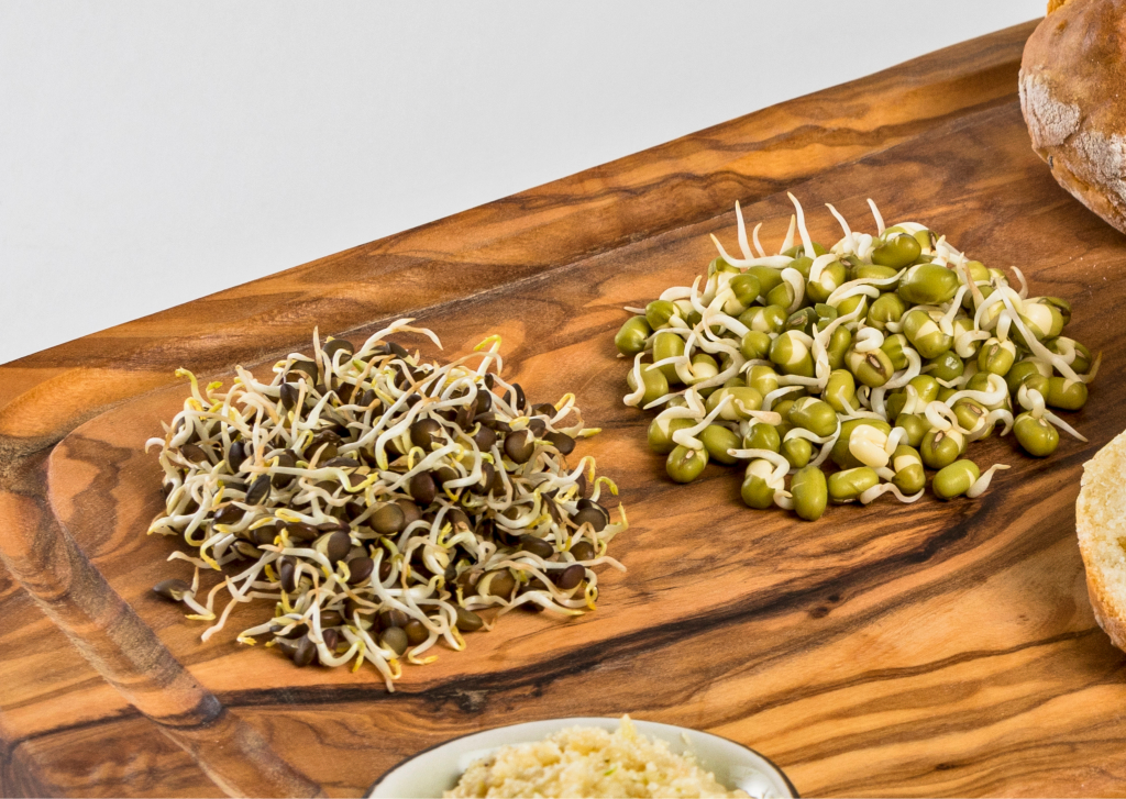 Sprossen – ein kraftvolles Lebensmittel - natürlich-erfolgreich-gesund